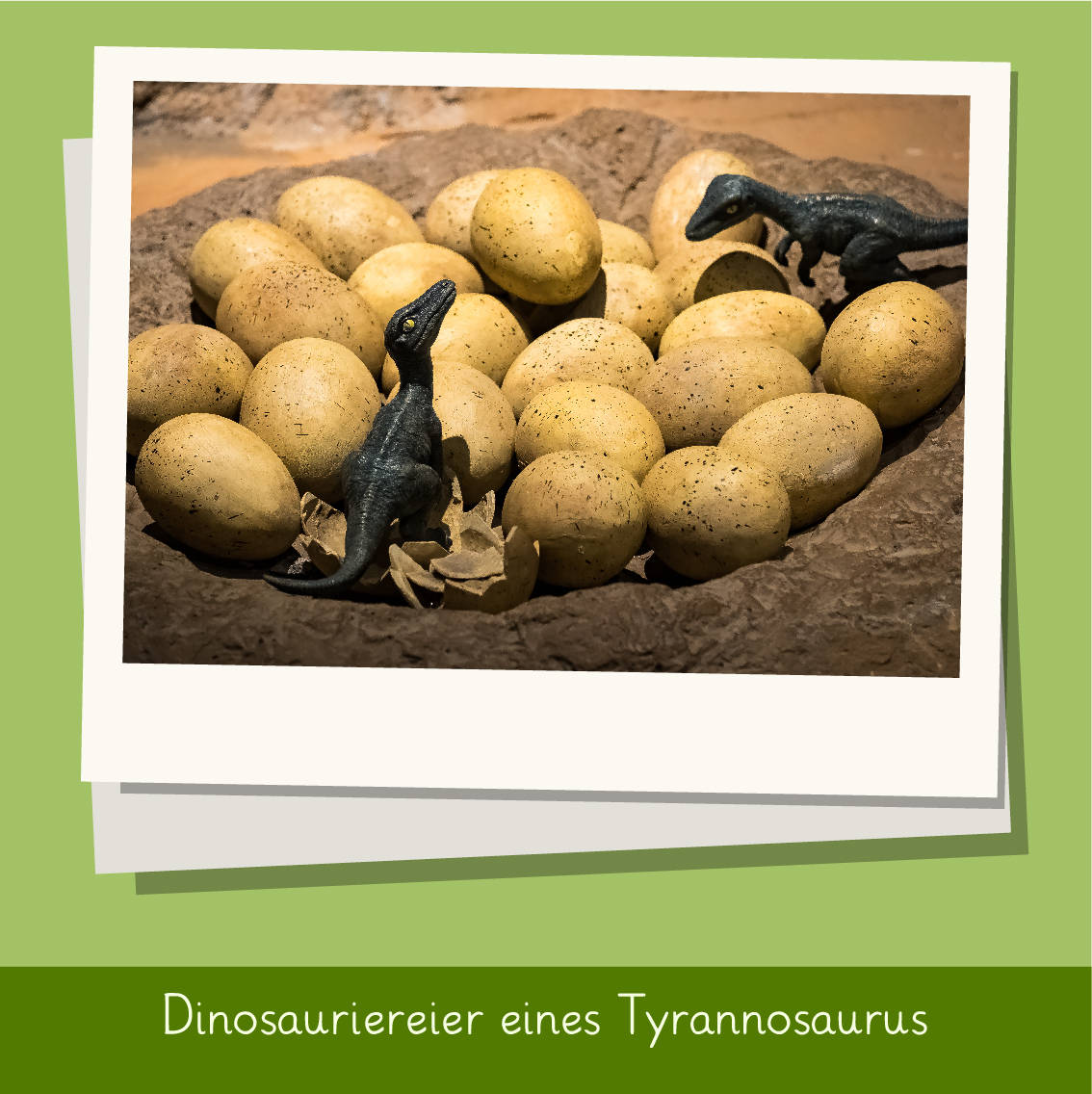 Dinosaurier Fortpflanzung Und Lebenserwartung Inkl bungen Dinosaurier Fortpflanzung Und Lebenserwartung Inkl bungen