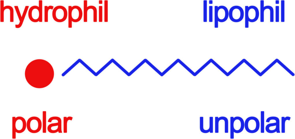 Waschmittel online lernen