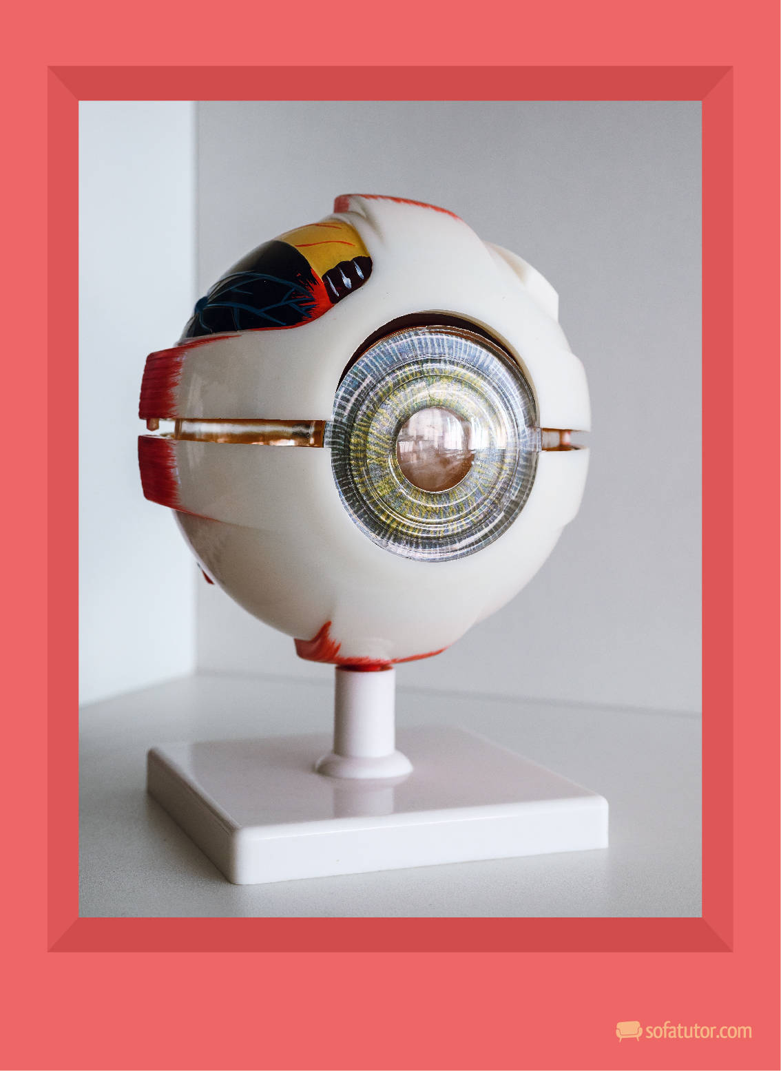 Modelle nutzen und erstellen – Methoden inkl. Übungen