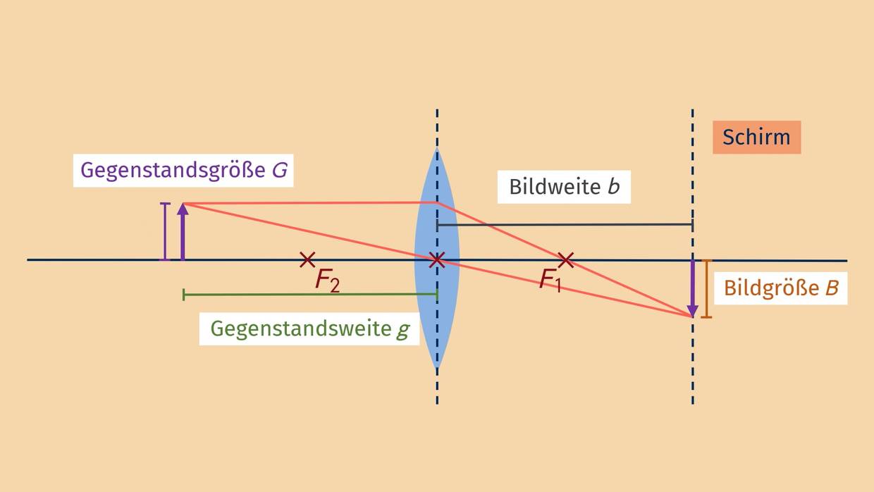 Optische Abbildungen – Erklärung & Übungen