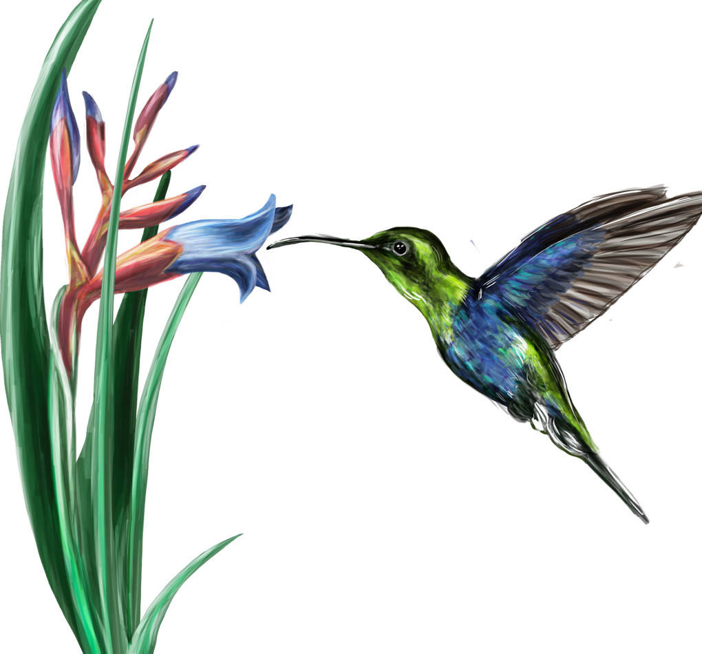 Evolutionstheorien und ihre Indizien online lernen