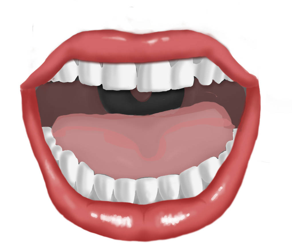 Aufbau und Funktion des Verdauungssystems online lernen