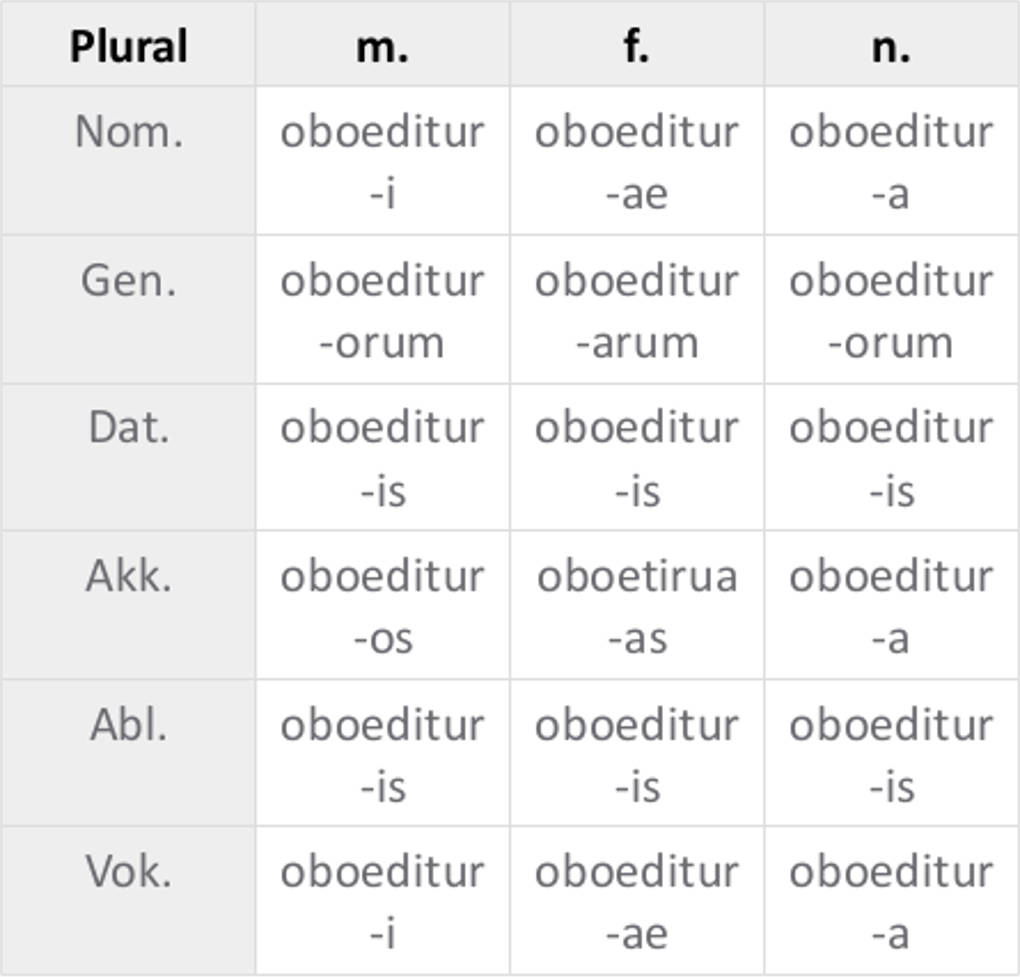Partizipien und ihre Verwendung online lernen