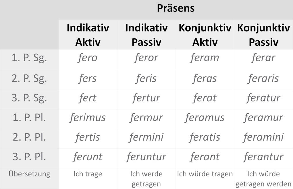 ferre online lernen