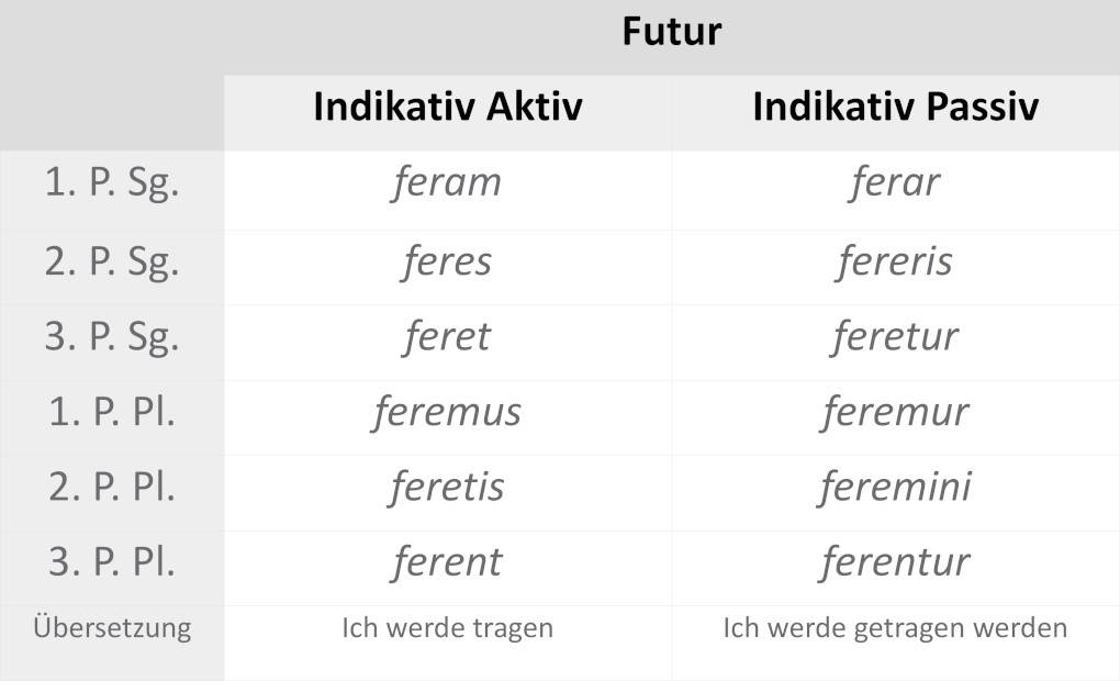 ferre online lernen