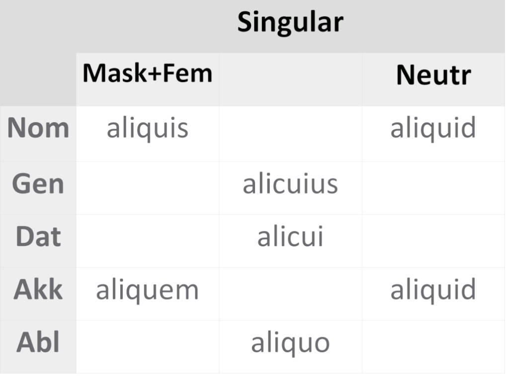 Indefinitpronomen auf Latein online lernen