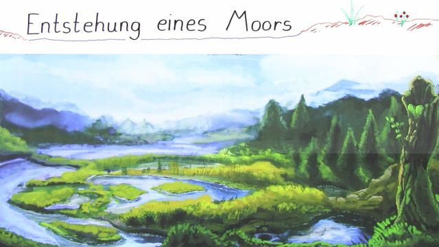 Entstehung eines Moors – In 5 1/2 Minuten erklärt.