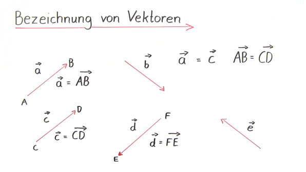 Was ist ein Vektor? I sofatutor
