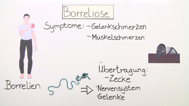 Überblick Infektionskrankheiten – Erklärung & Übungen