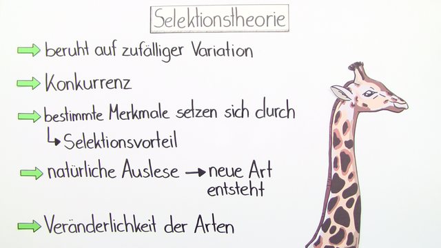 Selektionstheorie von Darwin – In 5 Minuten erklärt.