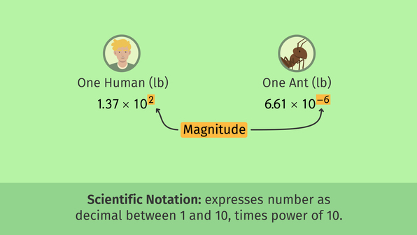 Magnitude and Scientific Notation learn online