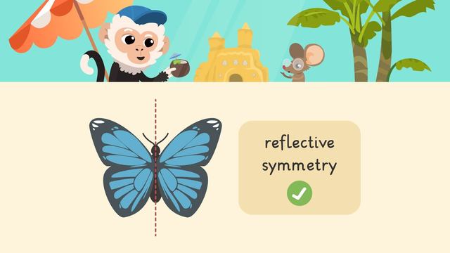 Types of Symmetry