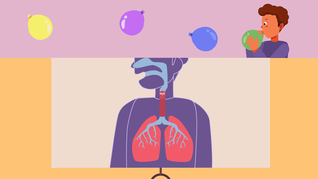 Mein Körper – Atmung und Sauerstoffkreislauf inkl. Übungen