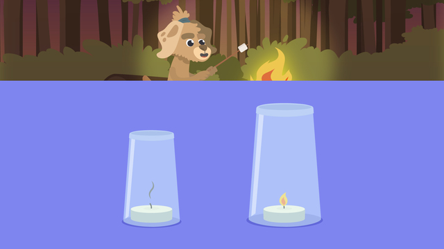 How Fire Burns – Science Learn online