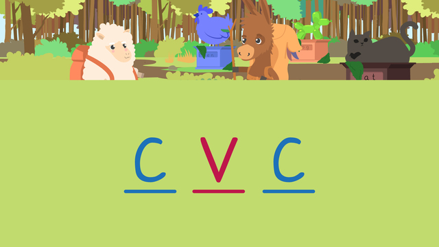 CVC Words: The Initial Consonant