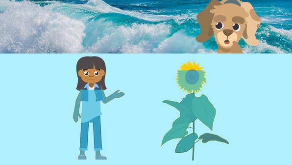 The Water Cycle learn online