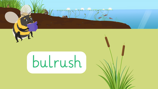 Science Reception learn online with videos and exercises