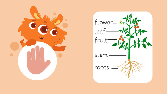 Illustrations in Informational Texts— Let’s Practise! – English Learn ...