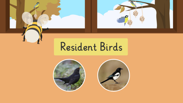 How Do Birds Survive in the Winter? – Made Easy