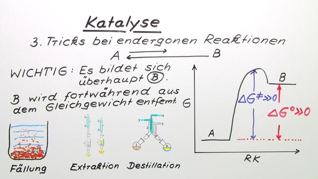 Katalyse – Einfach erklärt (inkl. Übungen)