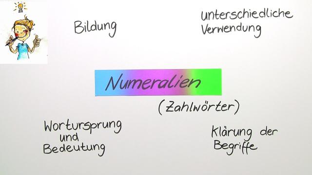Die Numeralien – Einfach erklärt (inkl. Übungen)